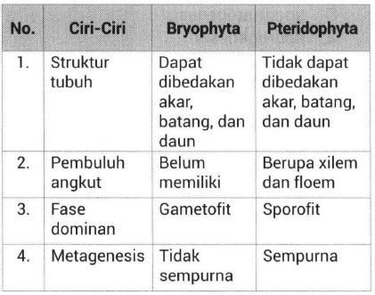Perhatikan Tabel Ciri Ciri Tumbuhan Lumut Bryophy