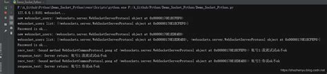 how to implement a websocket in python