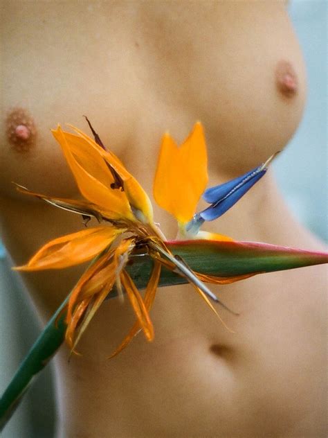 Seductive Angela Olszewska Strips Naked In A Moody Gallery The Fappening