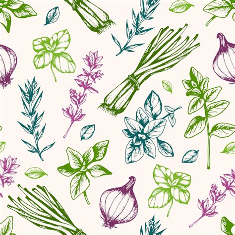Vintage Hand Drawn Seamless Pattern With Italian Herbs And Spices