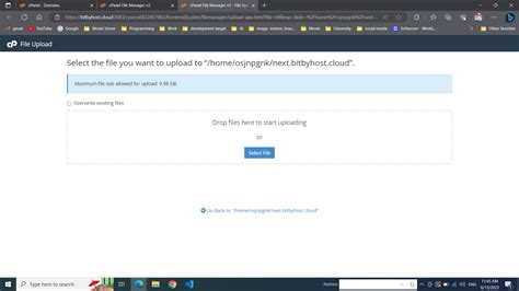 Next Js Deployment On CPanel Shared Hosting Your Ultimate CPanel Guide