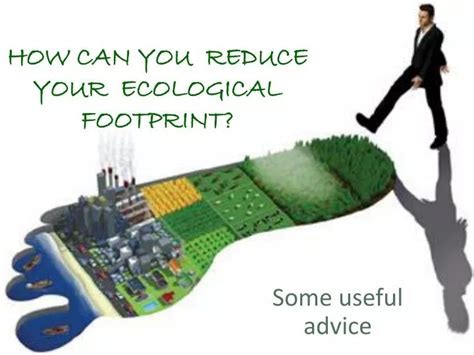 PPT HOW CAN YOU REDUCE YOUR ECOLOGICAL FOOTPRINT PowerPoint