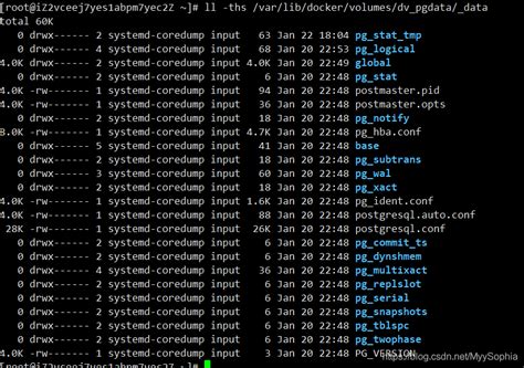docker 启动一个postgresql 服务 docker中postgre怎么单独启动 csdn博客