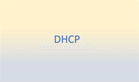 dhcp dynamic host configuration protocol explained ccna tutorials
