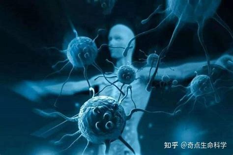 奇点干细胞讲解细胞和免疫发展史 免疫学简史 知乎