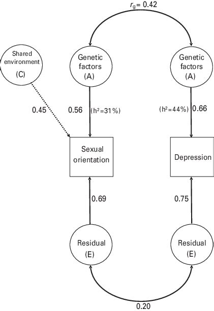 correlated factors model for sexual orientation and lifetime download scientific diagram