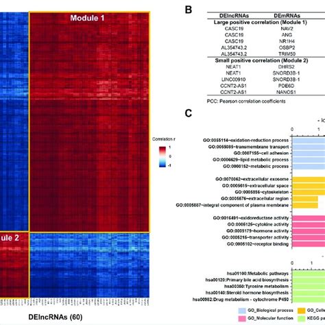 Functional Annotation And Pathway Enrichment Analysis Of Commonly