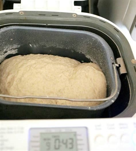 English Muffins