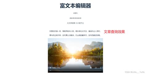一款好用的富文本编辑器 wangeditor 前后端分离 附实战源码 springboot vue3 wangeditor 工具栏与编辑器分离 csdn博客