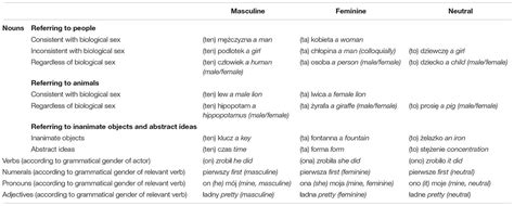 frontiers grammatical gender influences semantic categorization and implicit cognition in polish