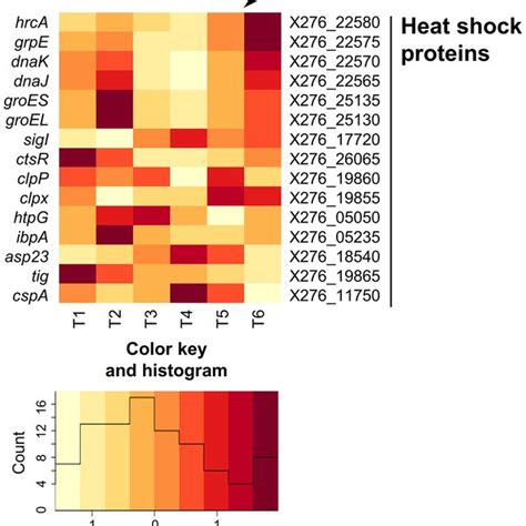 Heatmap Of Expression Changes In Genes For Motility And Chemotaxis