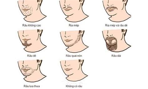 Đoán biết bản tính đàn ông qua tướng râu