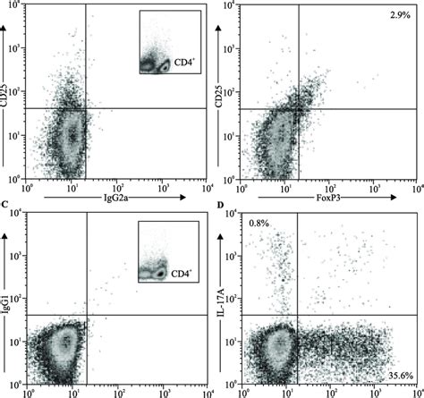 Flow Cytometry Dot Plots Showing The Gating Strategy Used In