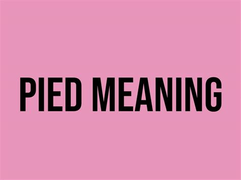 What Does Pied Meaning Mean Meaning Uses And More FluentSlang