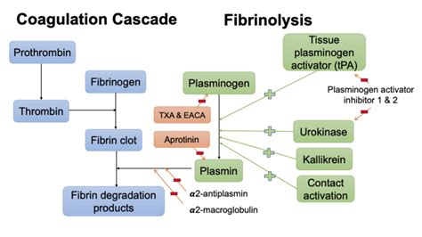 Antifibrinolytics OpenAnesthesia