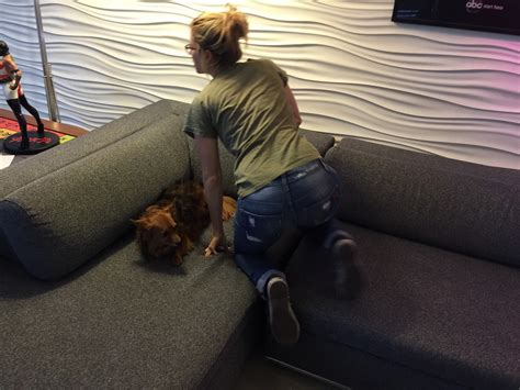 Iliza Shlesinger Thefappening Leaked Over Hot 200 Photos The Fappening