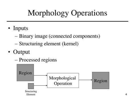 morphological operators ppt download