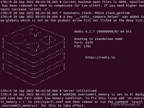 python 异步操作redis