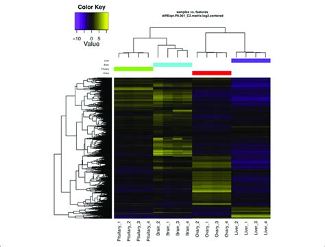 DEGs Hierarchical Clustering Heat Map Showing Genes Rows With