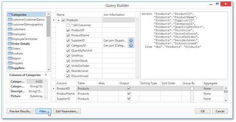 Query Parameters DevExpress End User Documentation