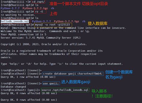 mysql数据库的高级sql语句与高级操作 高级语言调用sql函数 csdn博客