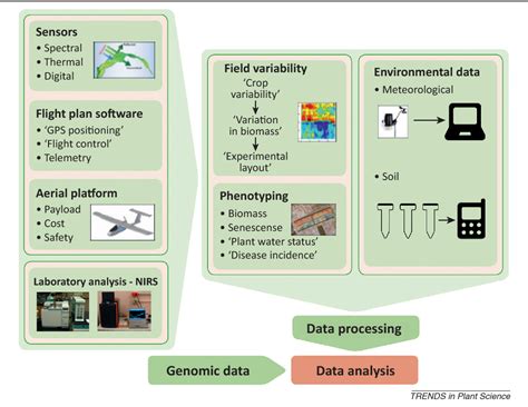 figure 1 from field high throughput phenotyping the new crop breeding frontier semantic scholar