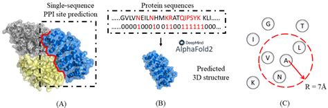 biology free full text evaluation of the effectiveness of derived features of alphafold2 on