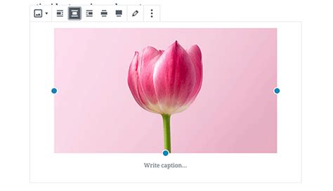 How To Add And Align Images In WordPress Block Editor Gutenberg