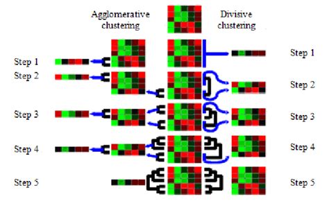 the overview of hierarchical clustering download scientific diagram