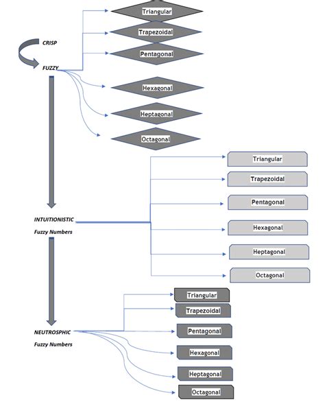 flow chart of the three types fuzzy intuitionistic fuzzy and download scientific diagram