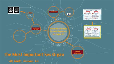The Most Important Sex Organ By Jen Sid