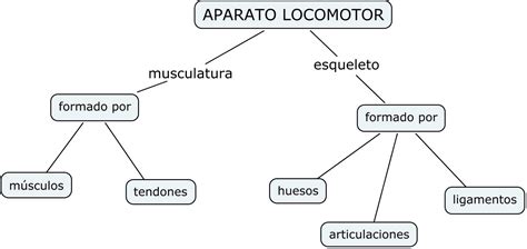 Sistema Locomotor Mapa Mental