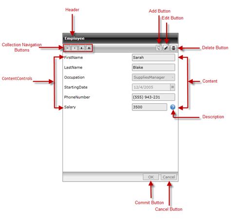 Wpf Dataform Visual Structure Telerik Ui For Wpf