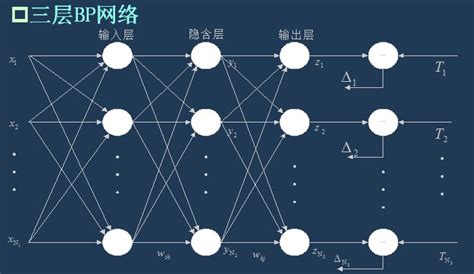 matlab神经网络编程（五）——bp神经网络的模型结构与学习规则 matlab神经网络输出层包括 csdn博客