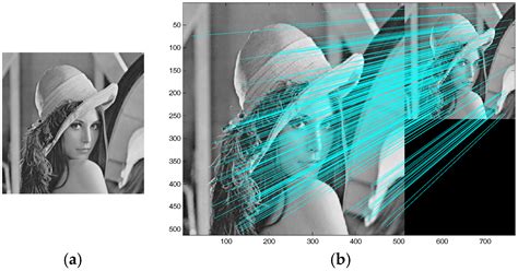 algorithms free full text rst resilient watermarking scheme based on dwt svd and scale