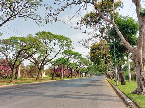 Khu Công Nghiệp Phú Mỹ 1 Bà Rịa Vũng Tàu Rongdat net