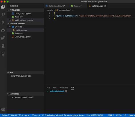 【已解决】vscode中调试notebook的ipynb文件中的python代码 在路上