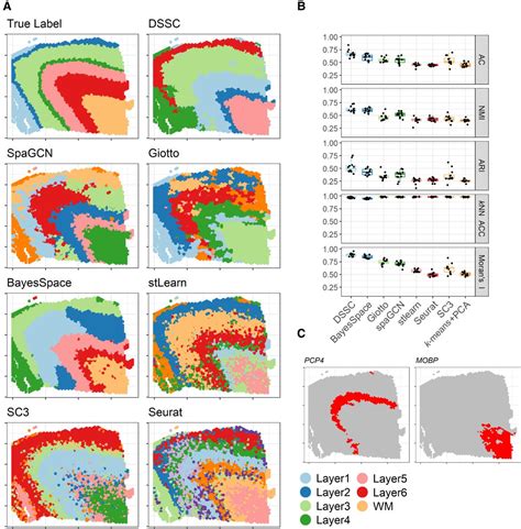 A Model Based Constrained Deep Learning Clustering Approach For