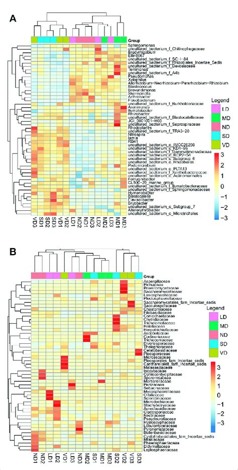 Heatmaps Representation And Cluster Analysis Of Bacterial A And