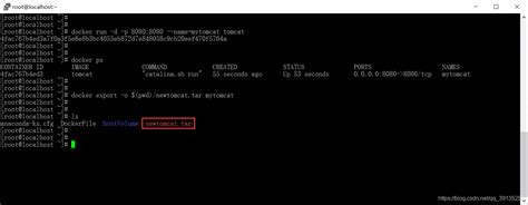 docker入门到实践 五 docker数据的备份、恢复与迁移