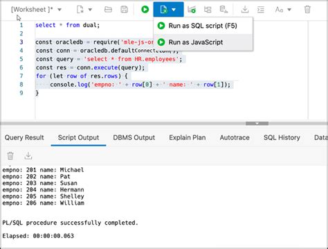 executing sql statements in the code editor