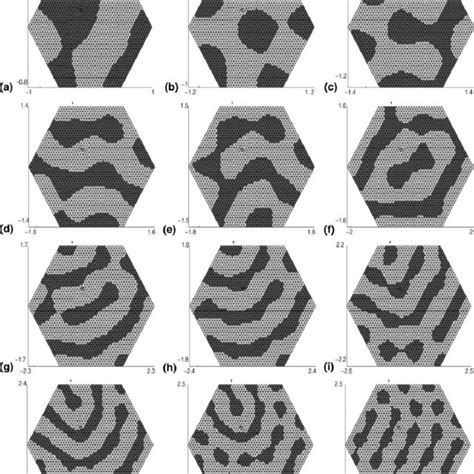 transient solutions of the schnakenberg model on the unit square