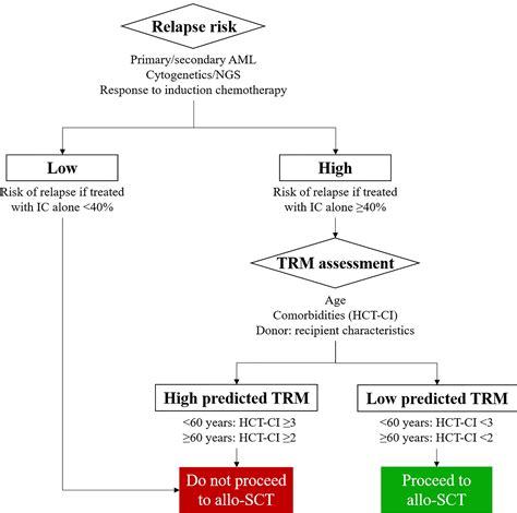 frontiers allogeneic stem cell transplantation for acute myeloid leukemia who when and how