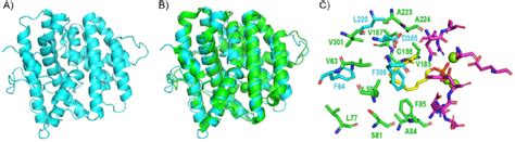 enzyme models of svss a enzyme model generated with alphafold2 b download scientific