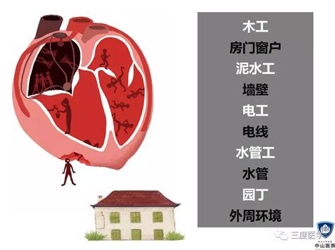 CCOC 2019课件分享 肿瘤心脏病学MDT门诊探索之路 知乎