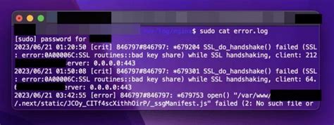 how to fix 500 internal server error nginx for client and server