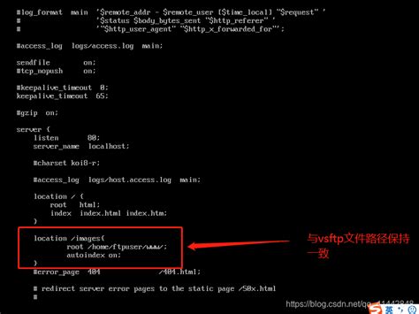 nginx图片文件路径映射 nginx图片服务器 nginx 图片资源指向其他服务器 csdn博客