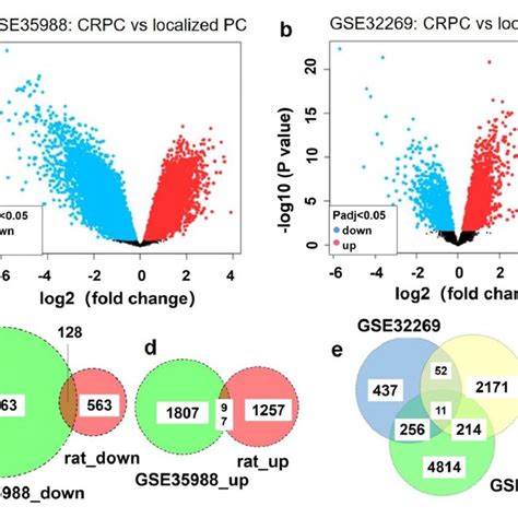Database Analysis A And B Volcano Plots Of All Genes In GSE35988 And