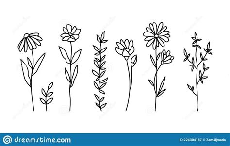 Illustration About Wildflowers Black And White Clipart Bundle Daisy