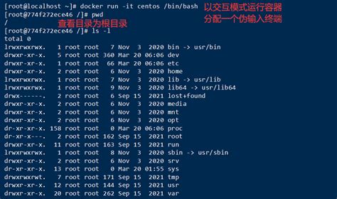 docker 常用【容器】命令 docker进入容器命令 csdn博客